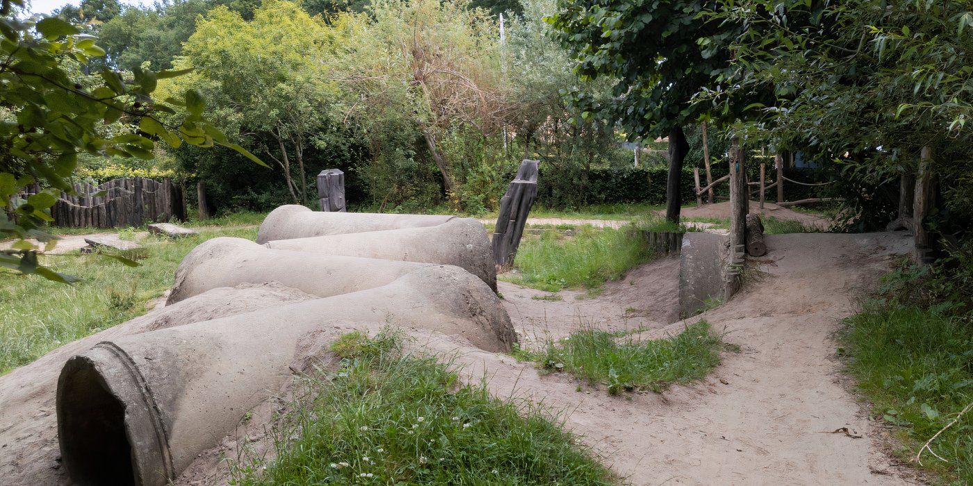 Building and Growing a Natural Playground in Your Yard