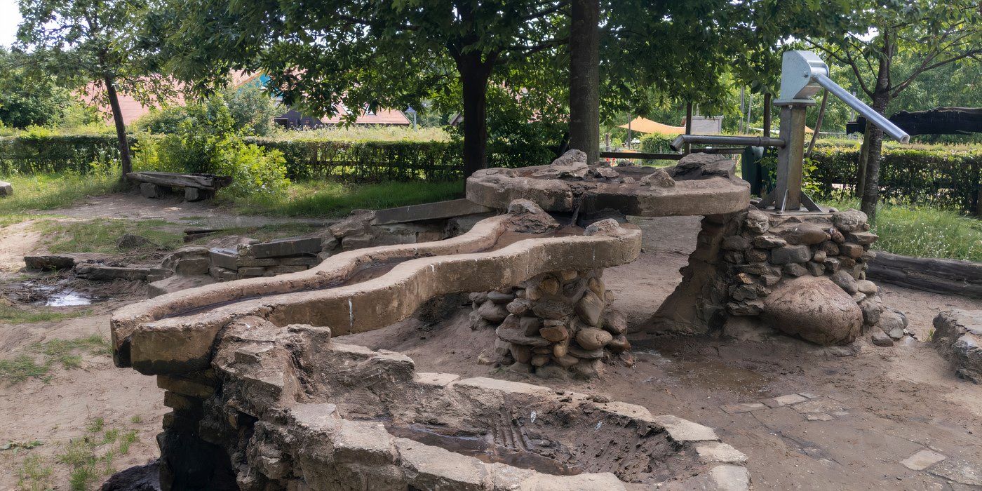 Building and Growing a Natural Playground in Your Yard