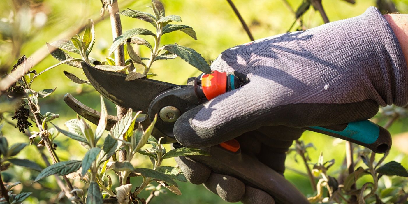 7 Must-Do Pond Maintenance Tasks for Spring