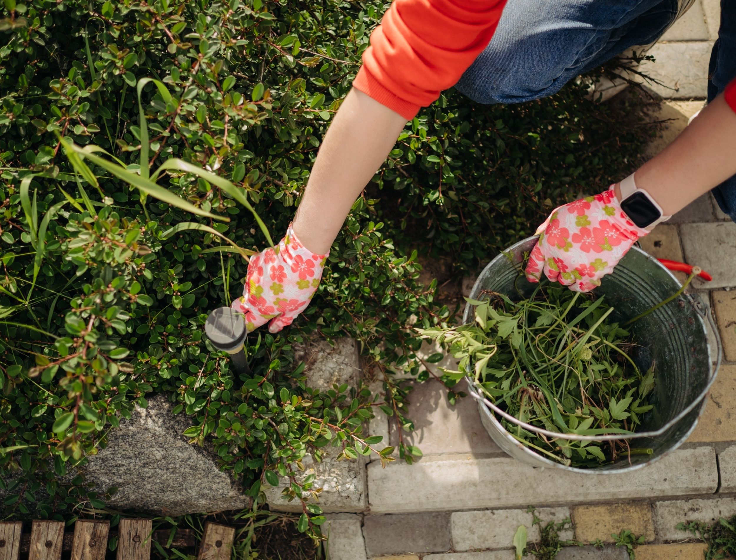 21 Garden Light Ideas