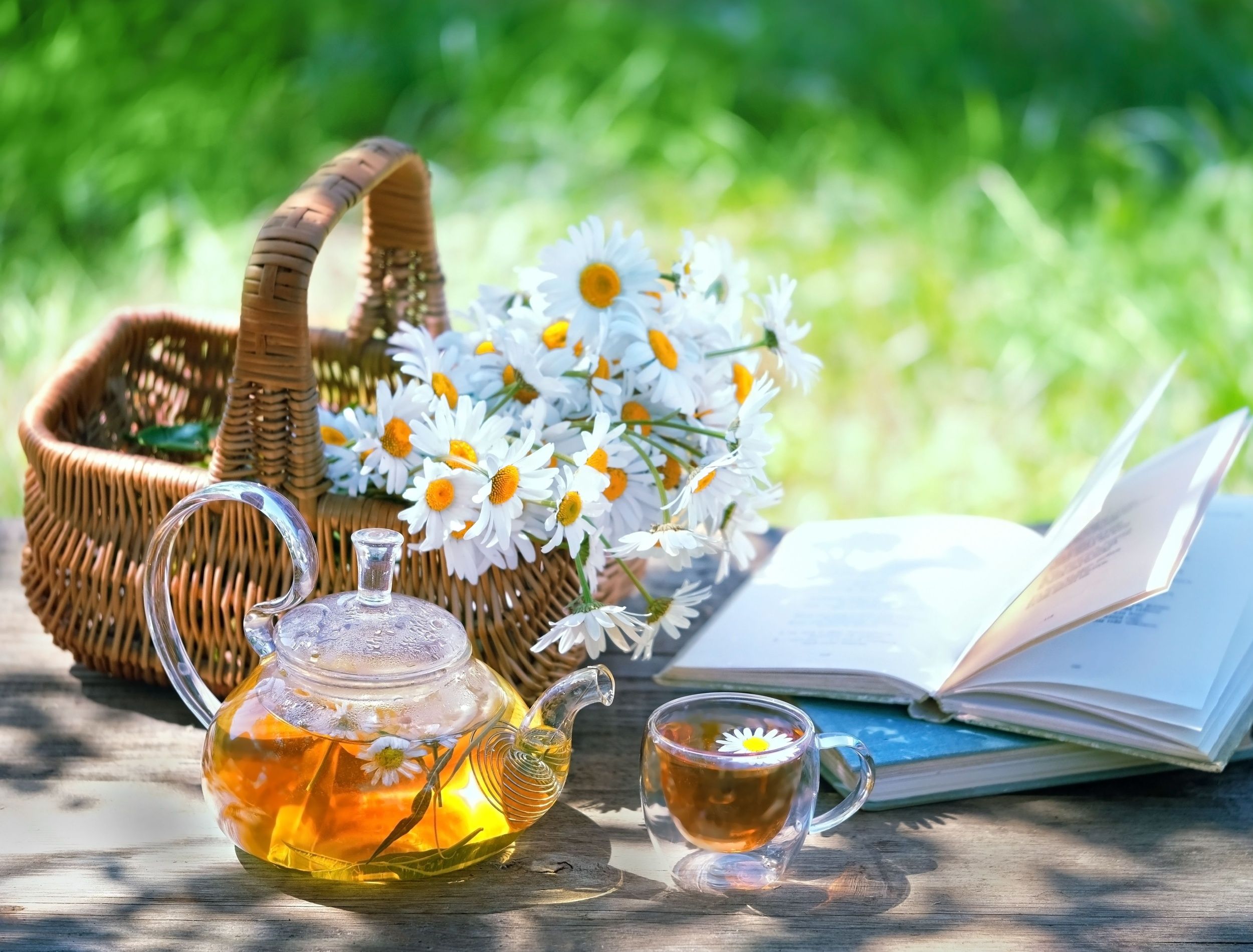 Add a Tea Garden as Part of Your Backyard Landscaping Projects