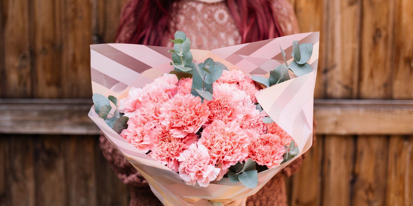 Carnations: Why These Garden Flowers Aren't Hugely Popular