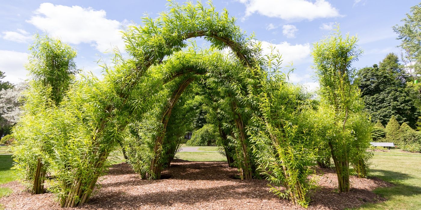 Transform Your Garden with Stunning Portal Ideas