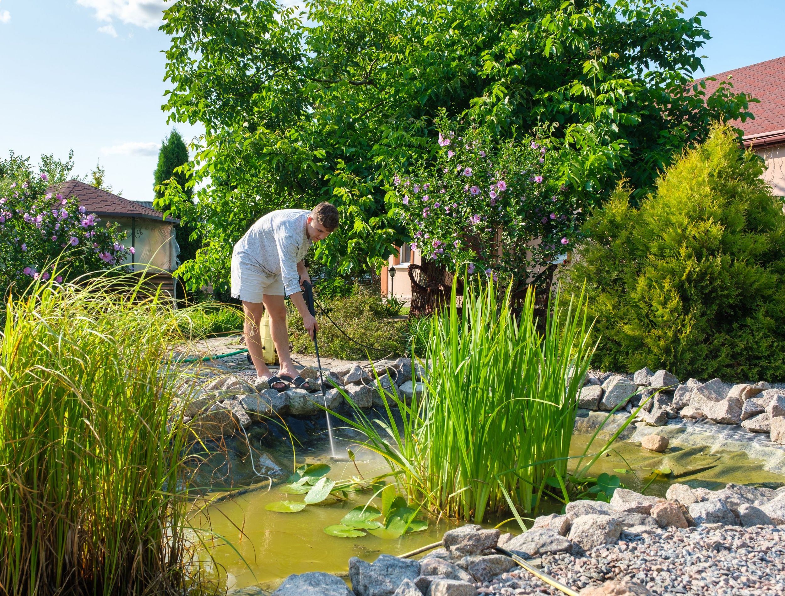 7 Must-Do Pond Maintenance Tasks for Spring