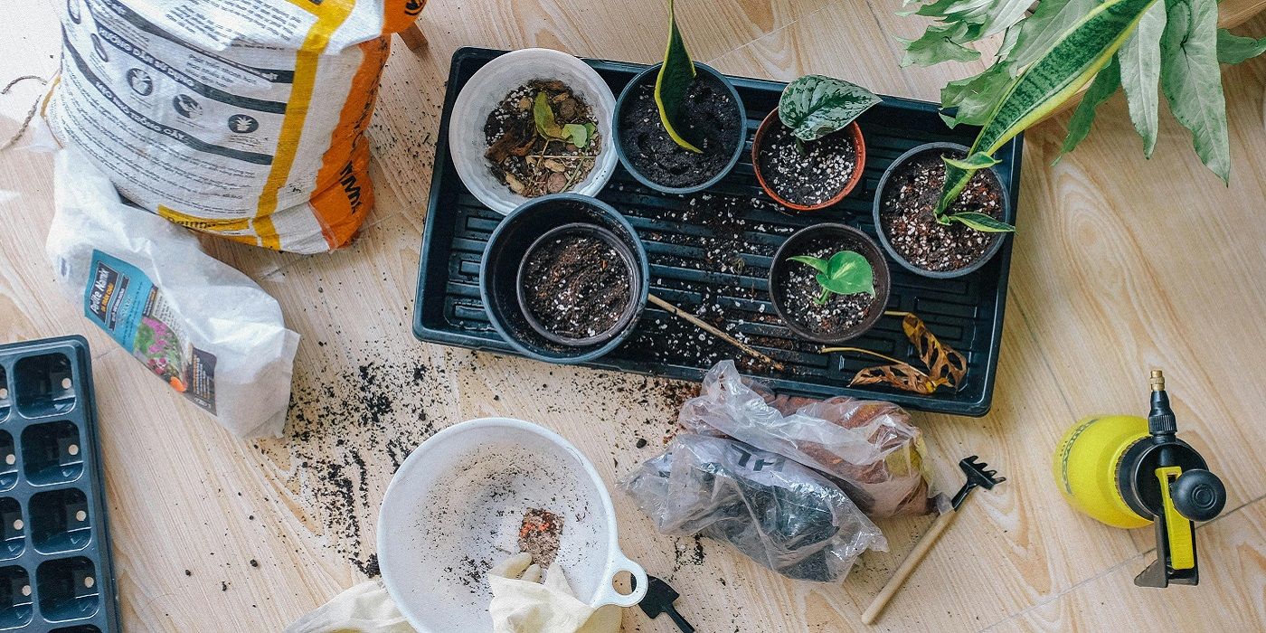 Which Potting Soil Is Best For Vegetables in Containers?