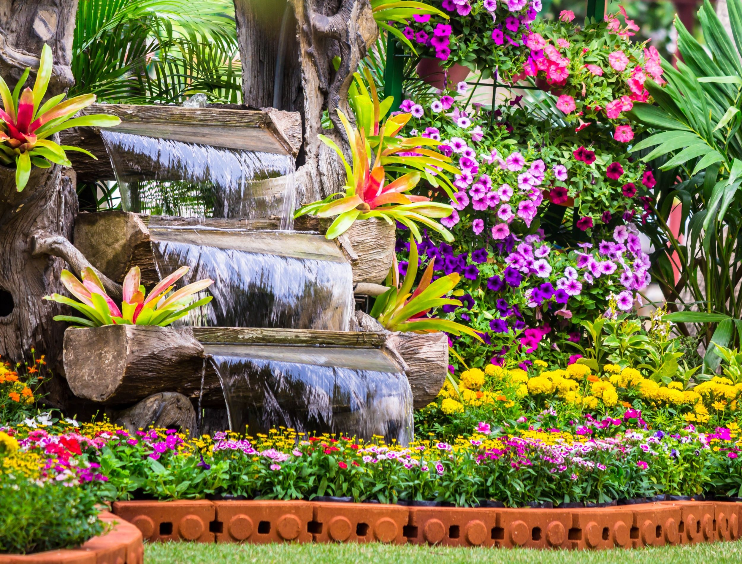 Maximalist Design: Embracing Bold, Vibrant Garden Ideas