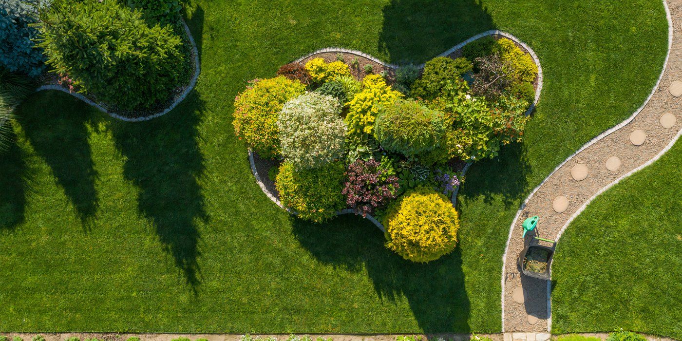 Lazy Lawn: Keep Your Yard Vibrant With Minimal Upkeep