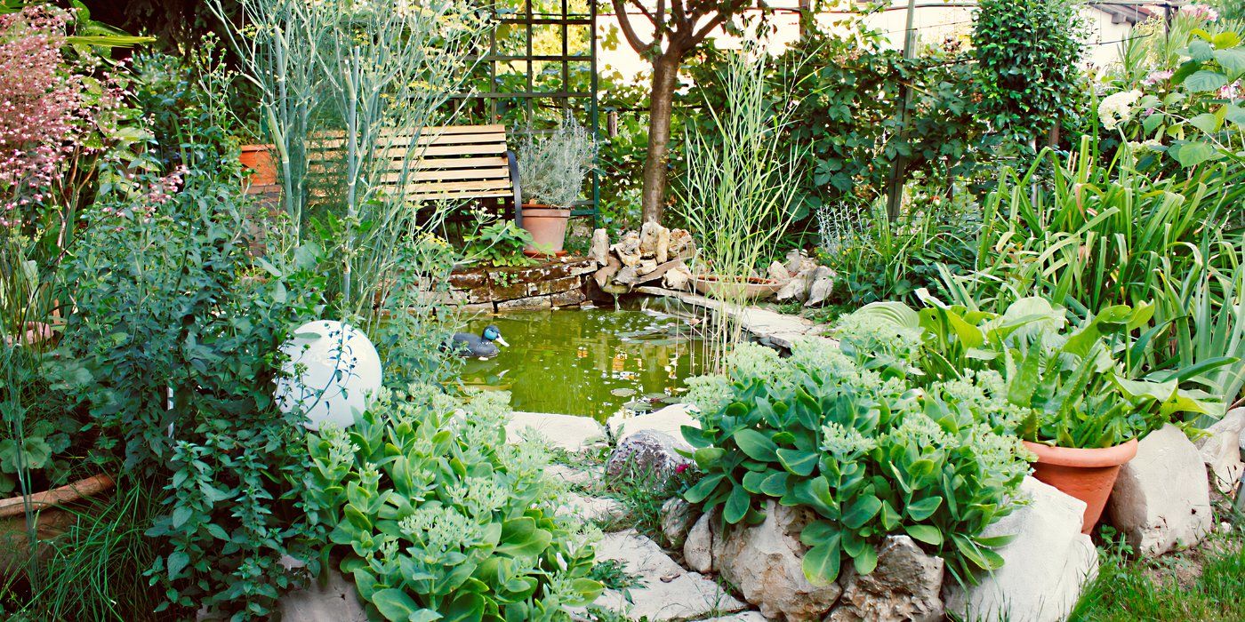 How to Build a Wildlife Habitat to Encourage Animals in the Garden