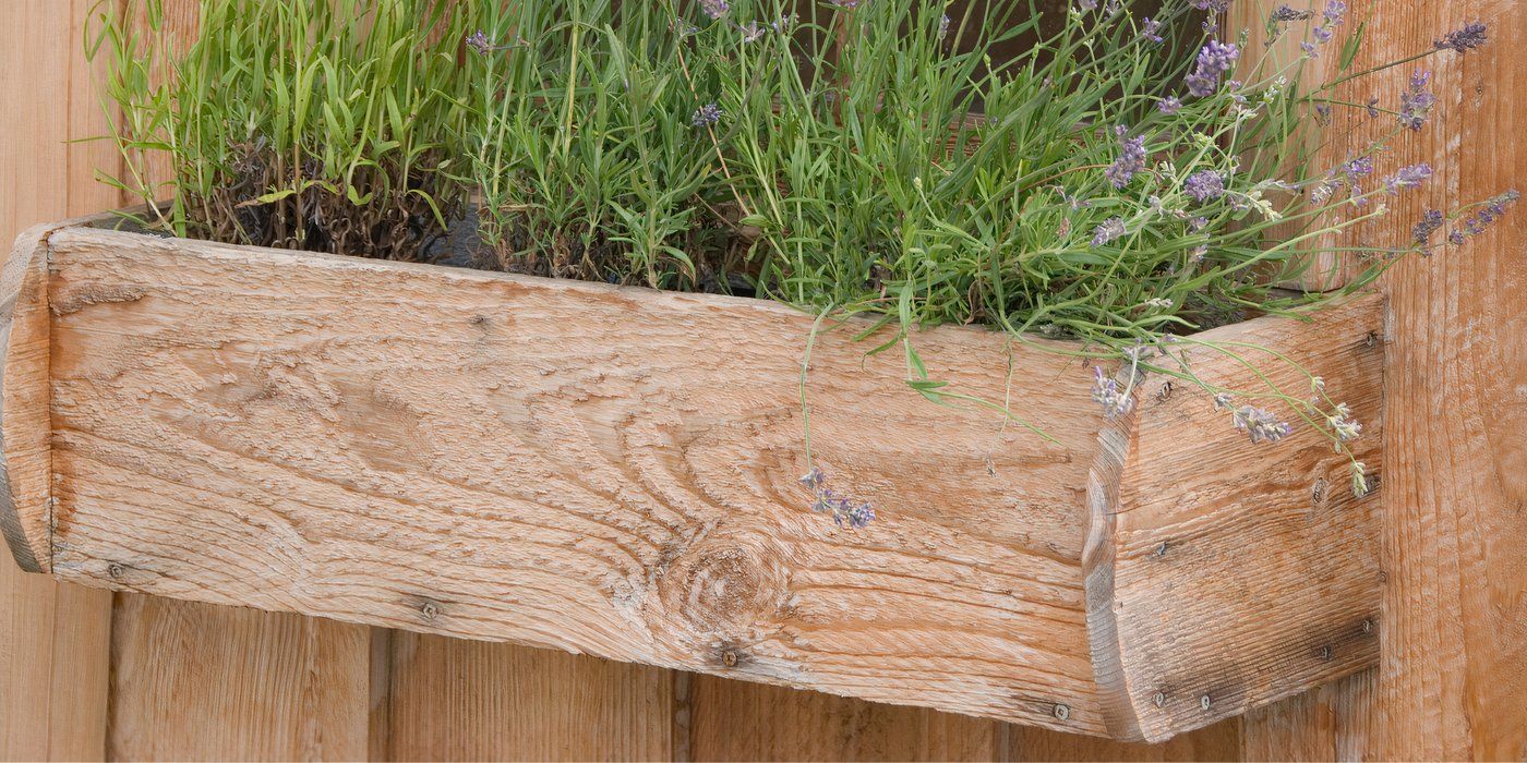 Clean Your Windowbox Planters!