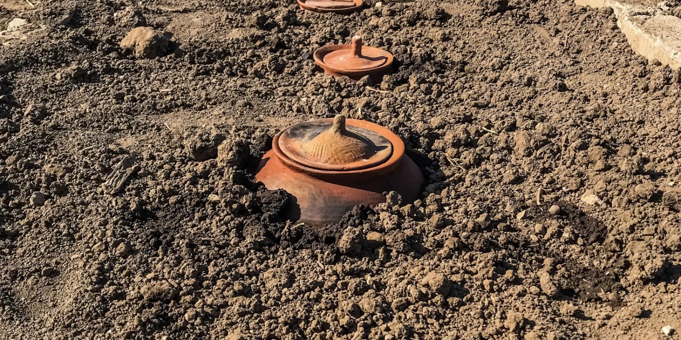 Transform Your Garden with the TikTok Olla Watering Trend