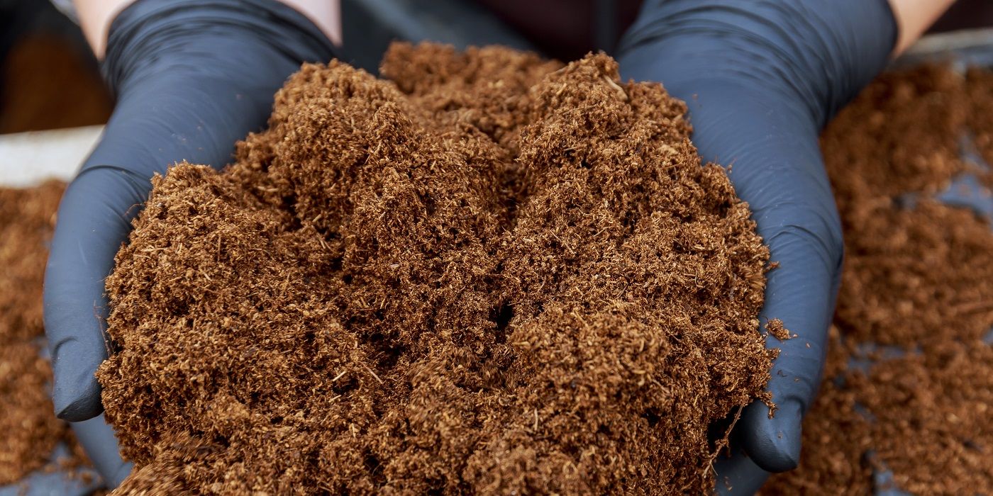 From Peaty Soil to Sustainable Gardening