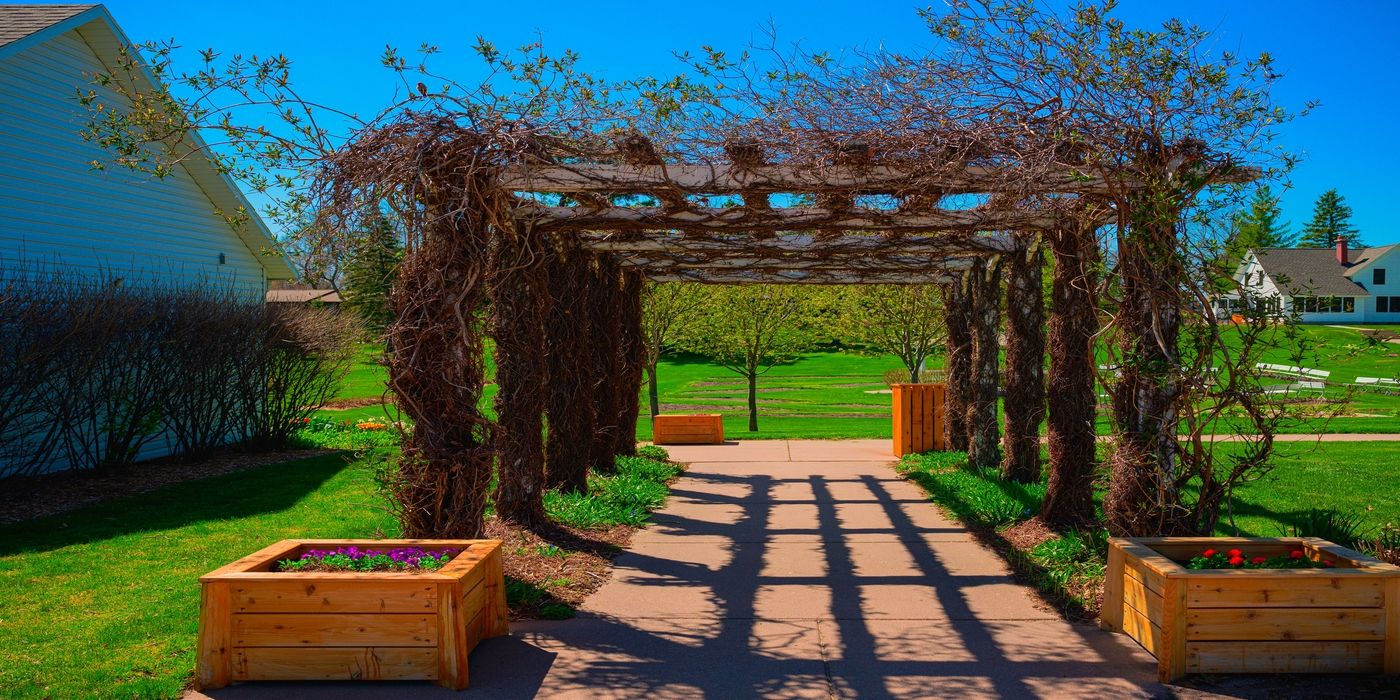 Transform Your Garden with Stunning Portal Ideas