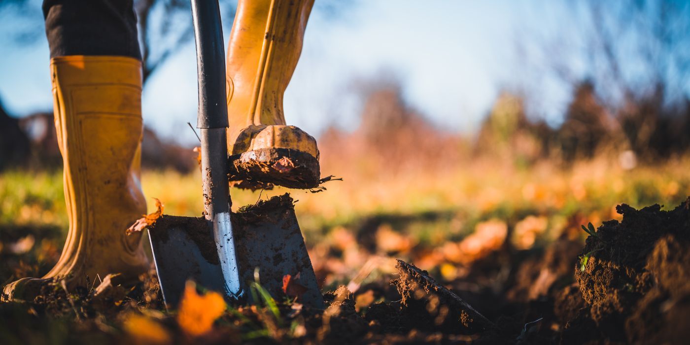 Transform Your Backyard with a Custom DIY Putting Green