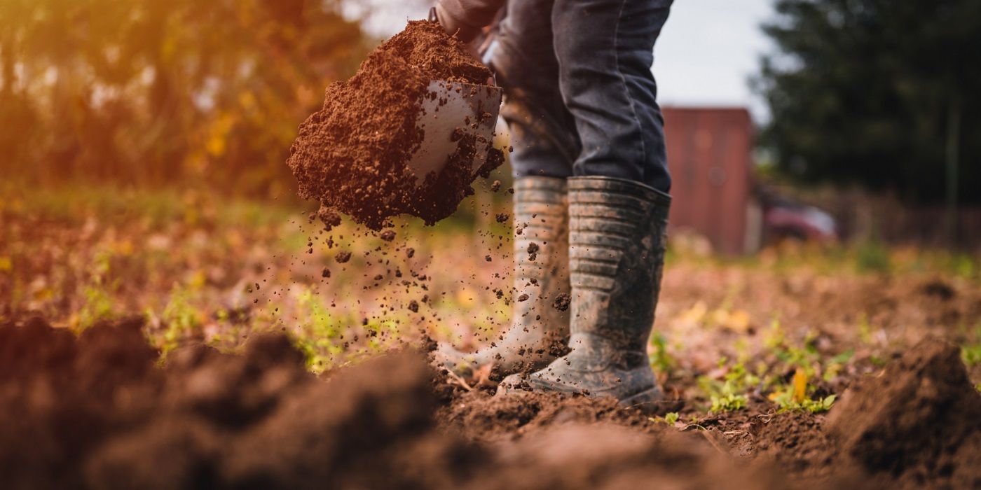 Step-by-Step Guide to Building a Root Cellar for Fresh Food Storage