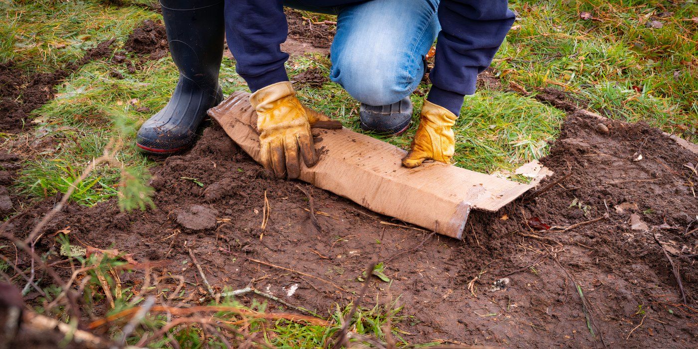 Cardboard in the Garden: Why It's An Effective Landscaping Mulch