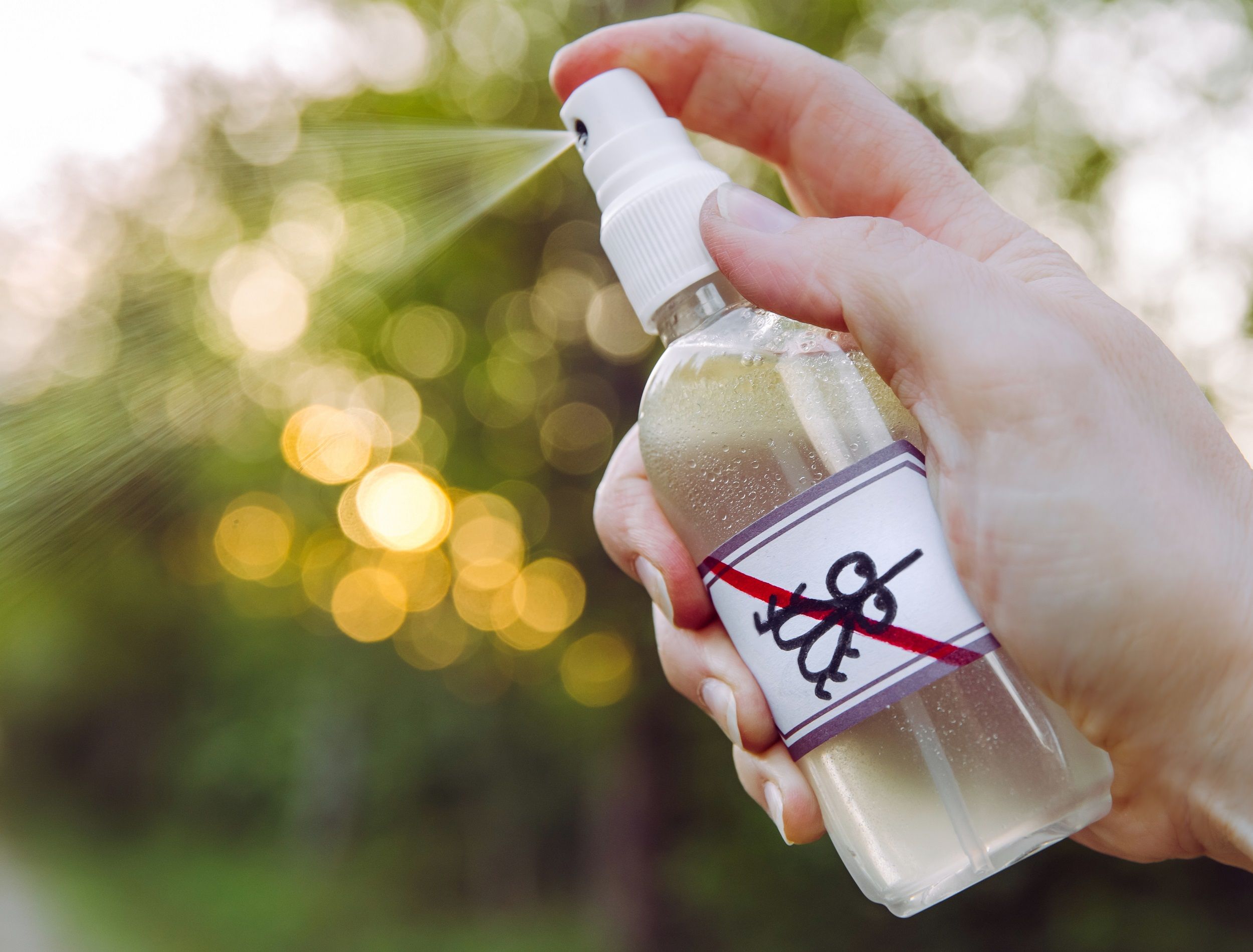 Simple Seasonal Maintenance: When To Prune And Why