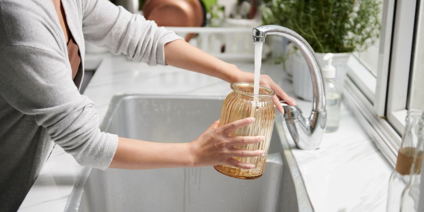 Fresh Flowers For Longer: 6 Simple Tricks to Preserve Your Cut Blooms