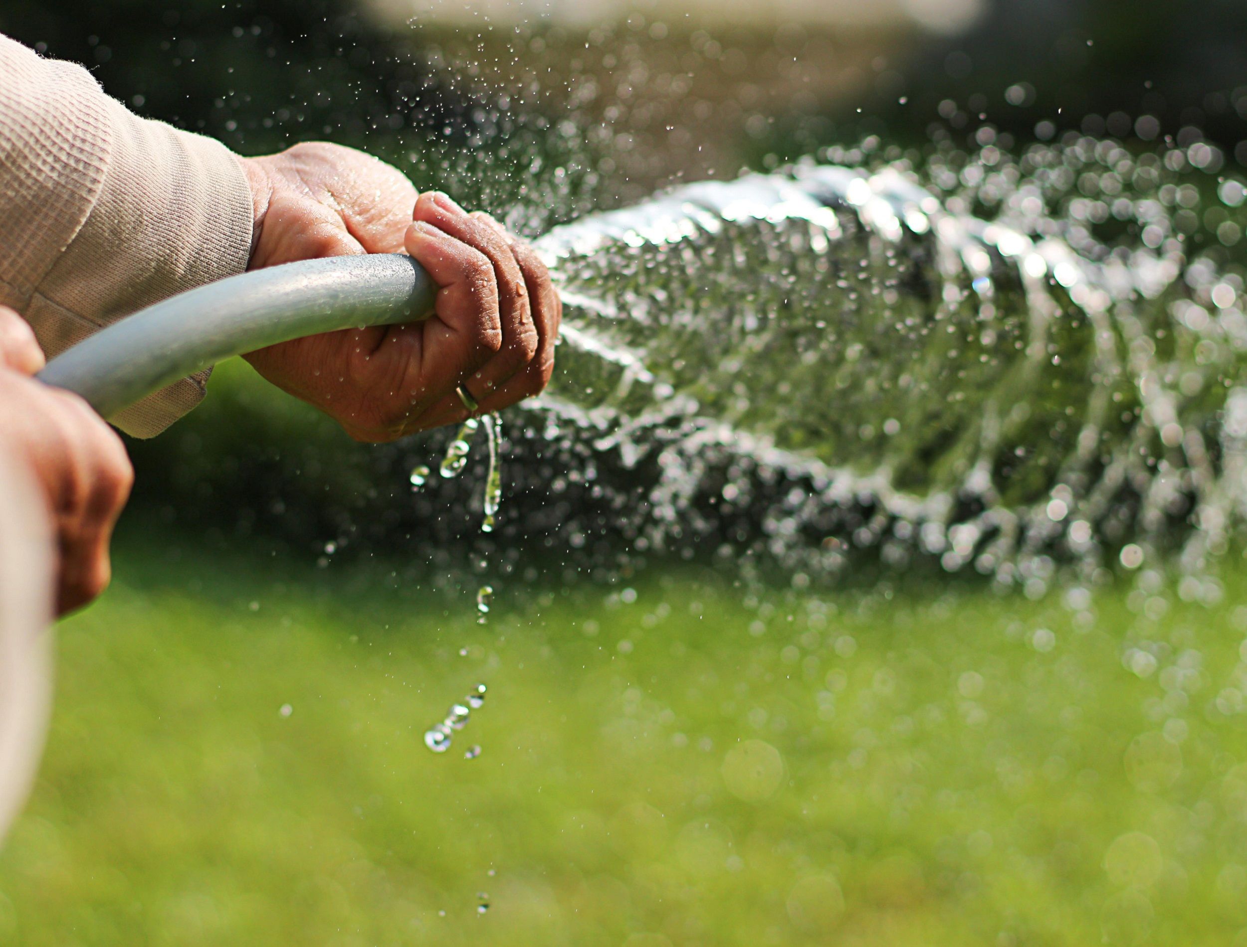 How to Water Grass Effectively Based on Soil Type