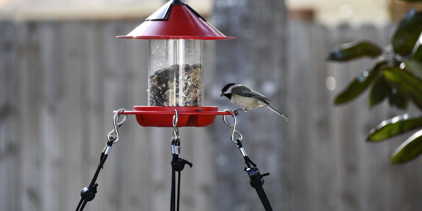 DIY Sound Garden Ideas for a Backyard Serenade