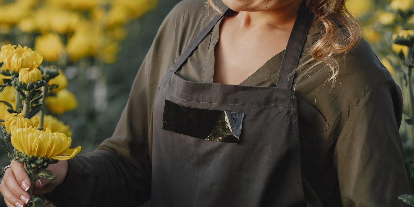 June Pruning Essentials: 8 Trees and Plants to Trim Now