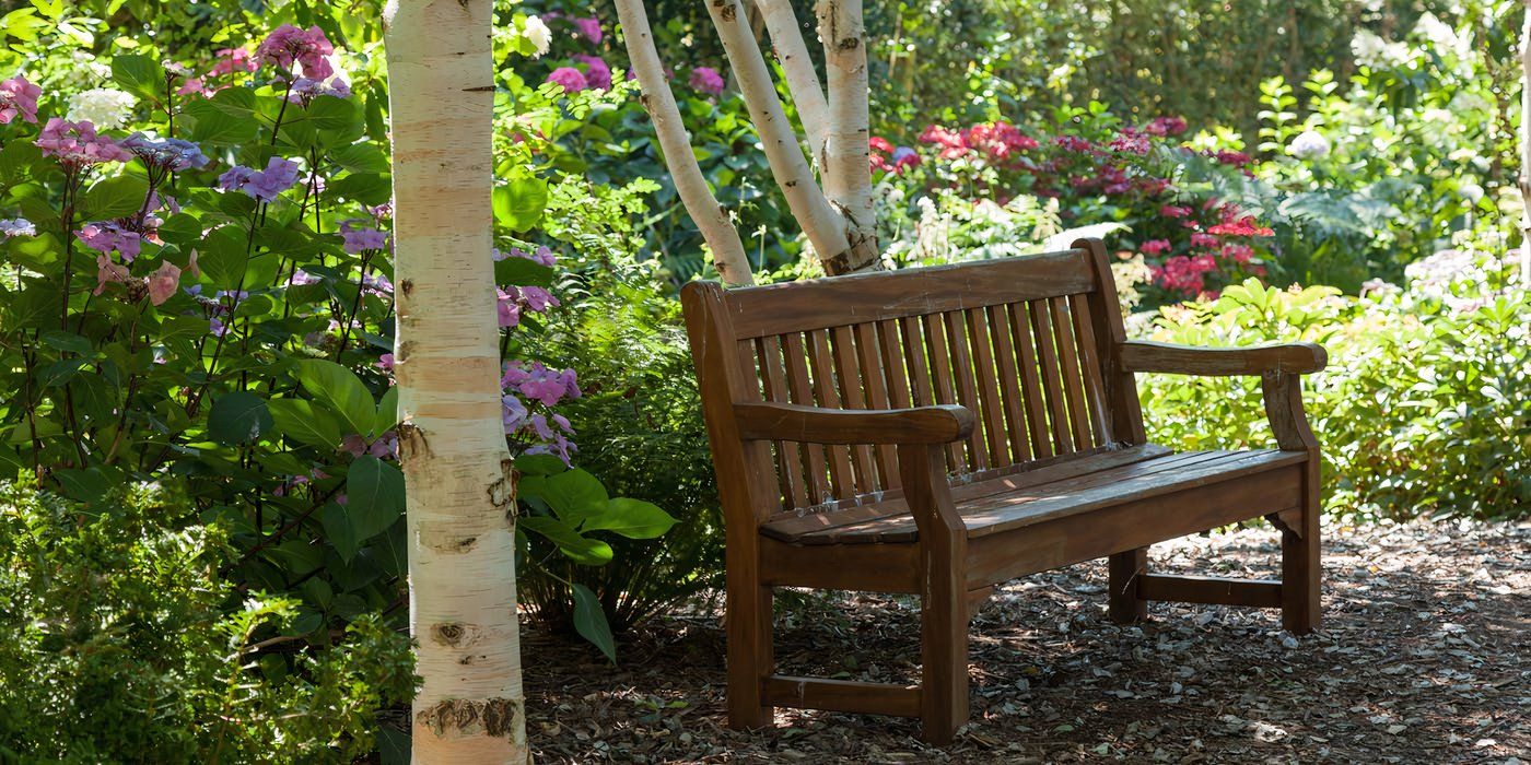 Creative Wood Landscaping Ideas to Elevate Your Outdoor Areas