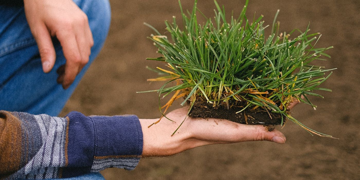 May Is the Perfect Time to Install Grass Turf for Your Dream Lawn