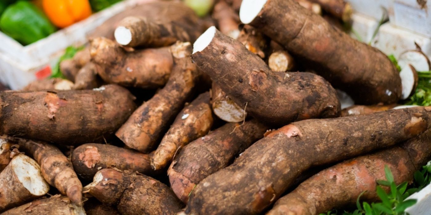 6 Edible Plants That Contain Poison