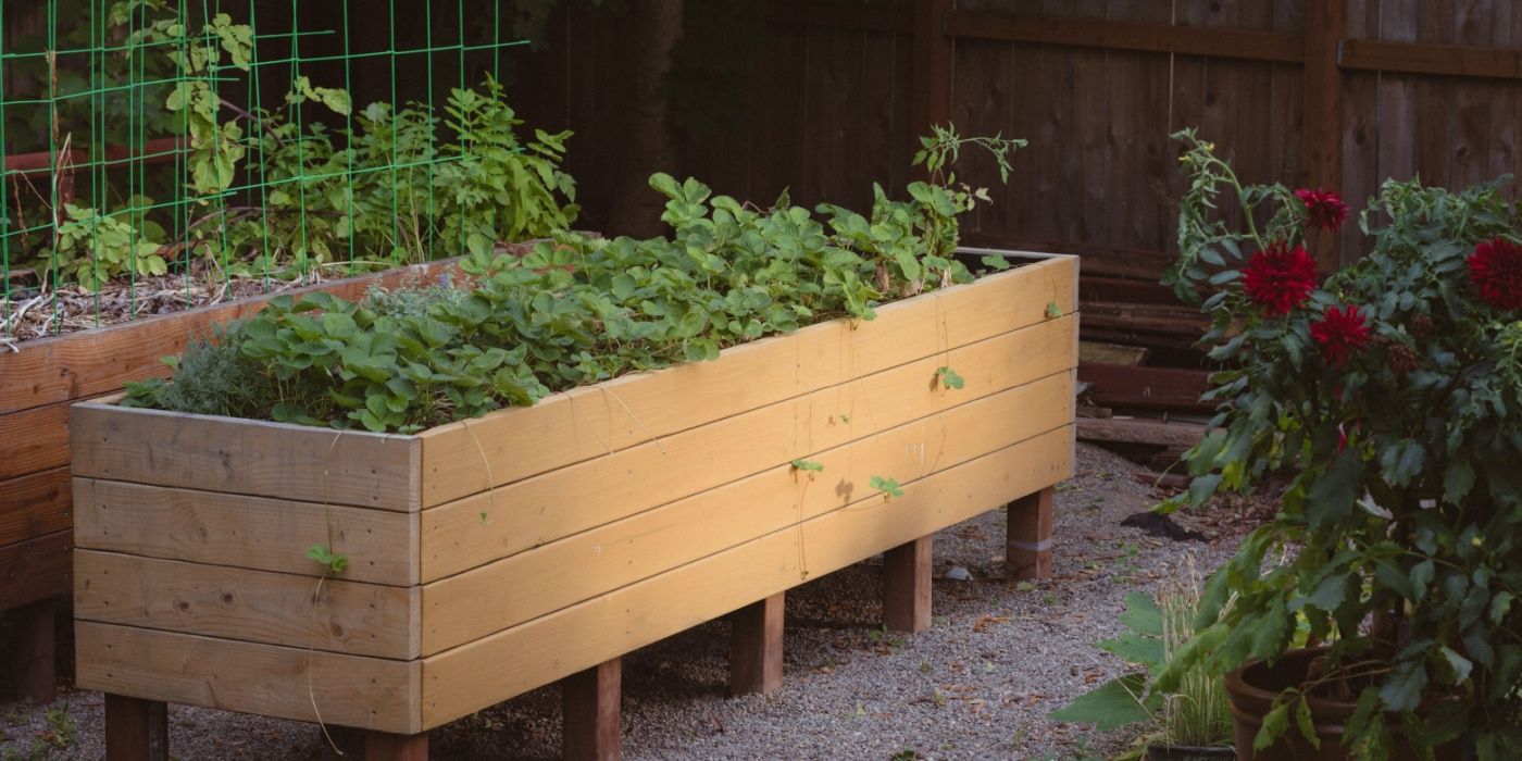 Transform Your Backyard: Build a Raised Garden Bed in Just One Day