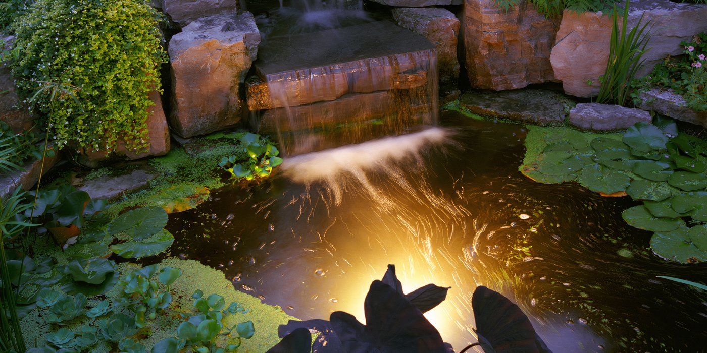 Outdoor Uplighting: 7 Ideas for Highlighting Your Landscaping Projects