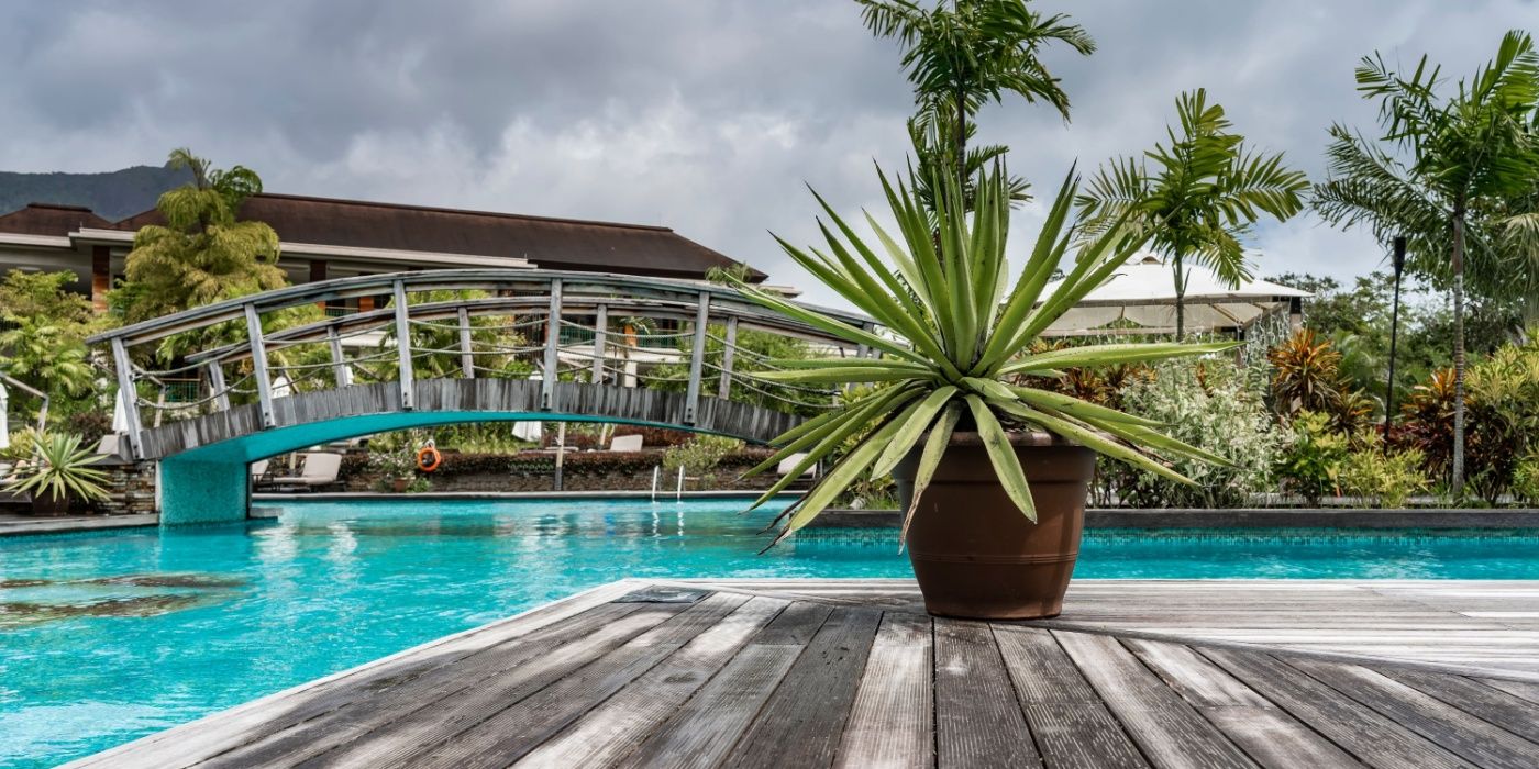 7 Creative Landscaping Ideas to Transform Your Swimming Pool Area