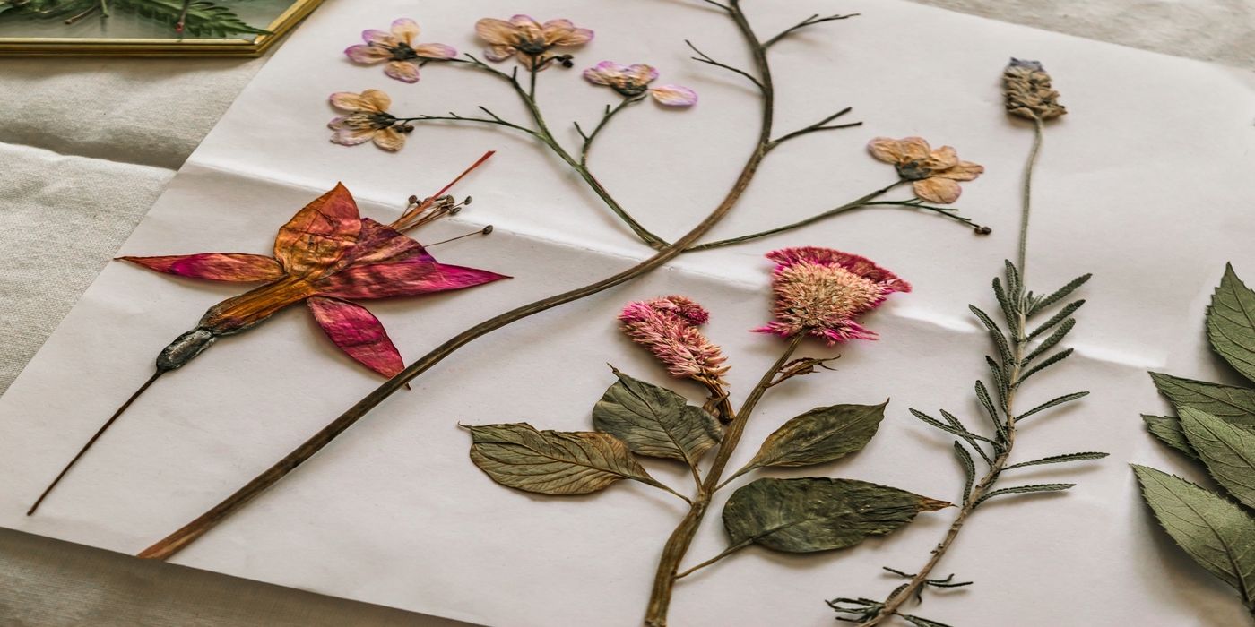 A Complete Guide to Pressing Flowers