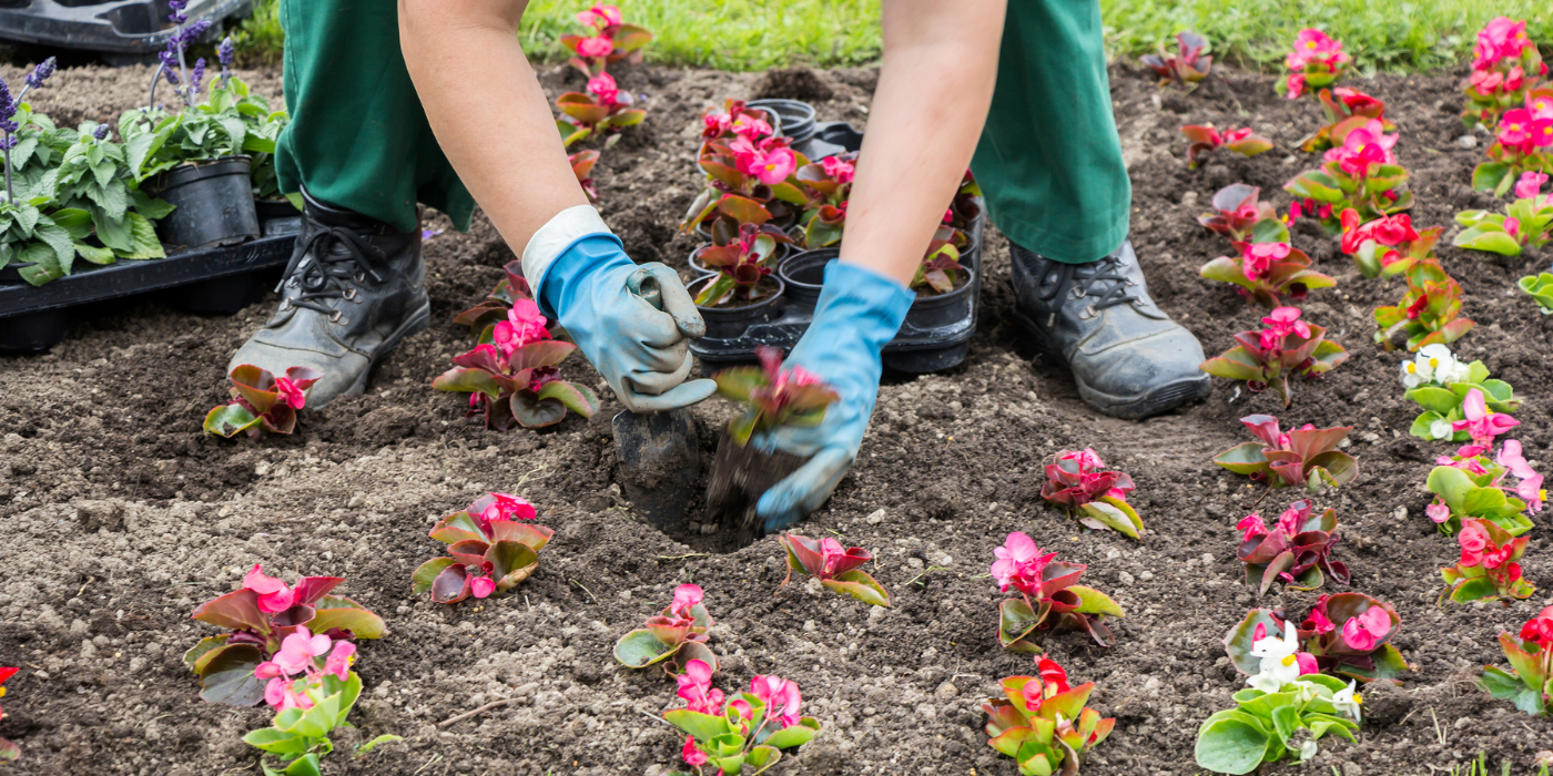 Plant Island: Create an Oasis of Plants and Flowers