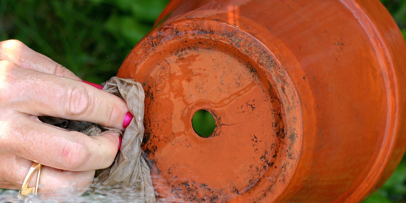 Clean Your Windowbox Planters!