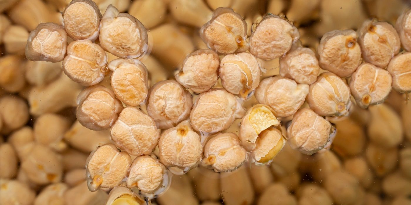 11 Reasons Why Hydrogen Peroxide For Plants is a Must