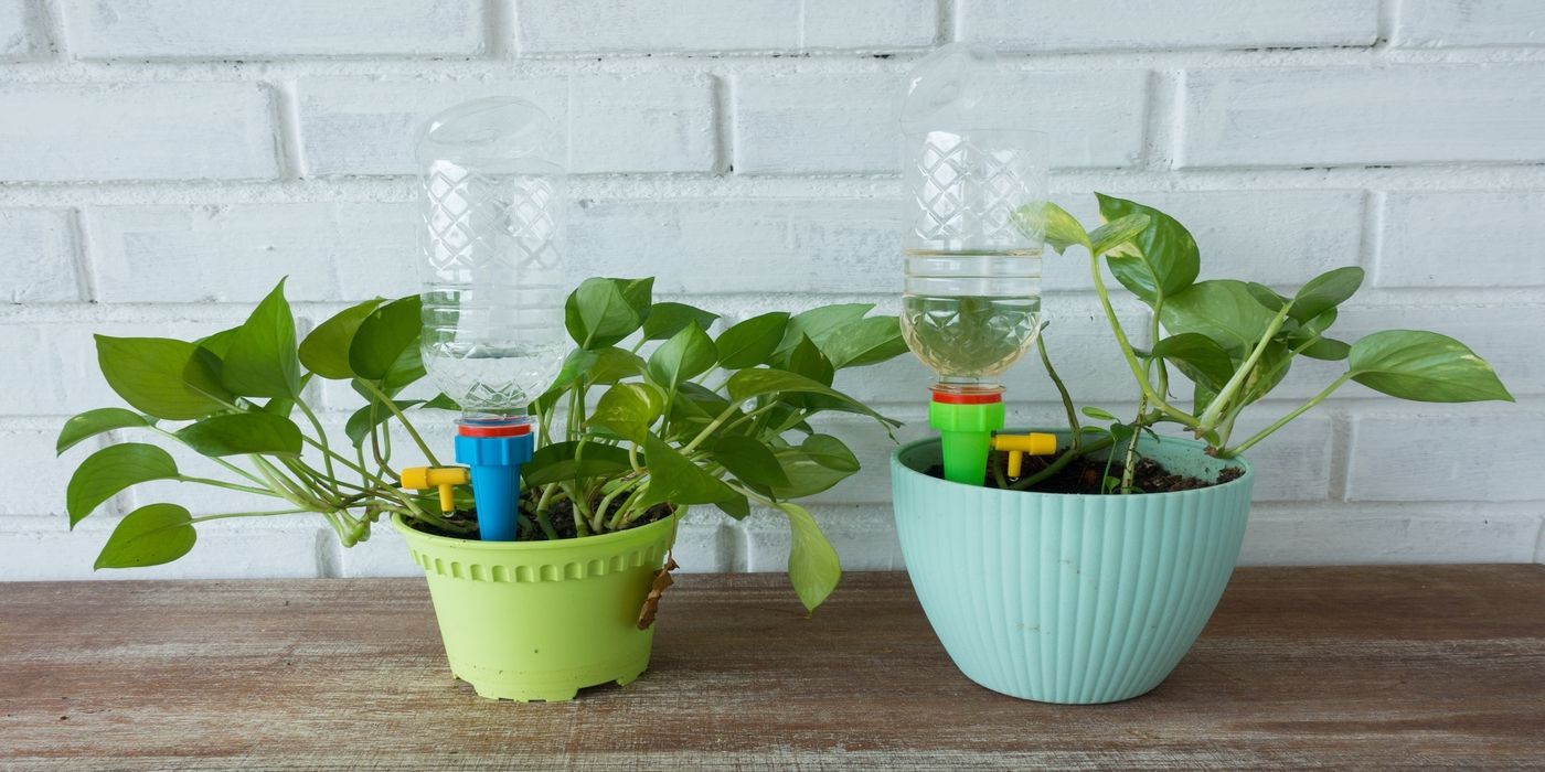 How Self-Watering Pots Can Transform Your Garden