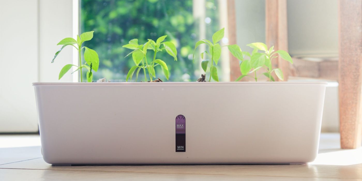 How Innovative Tech Can Transform Your Garden