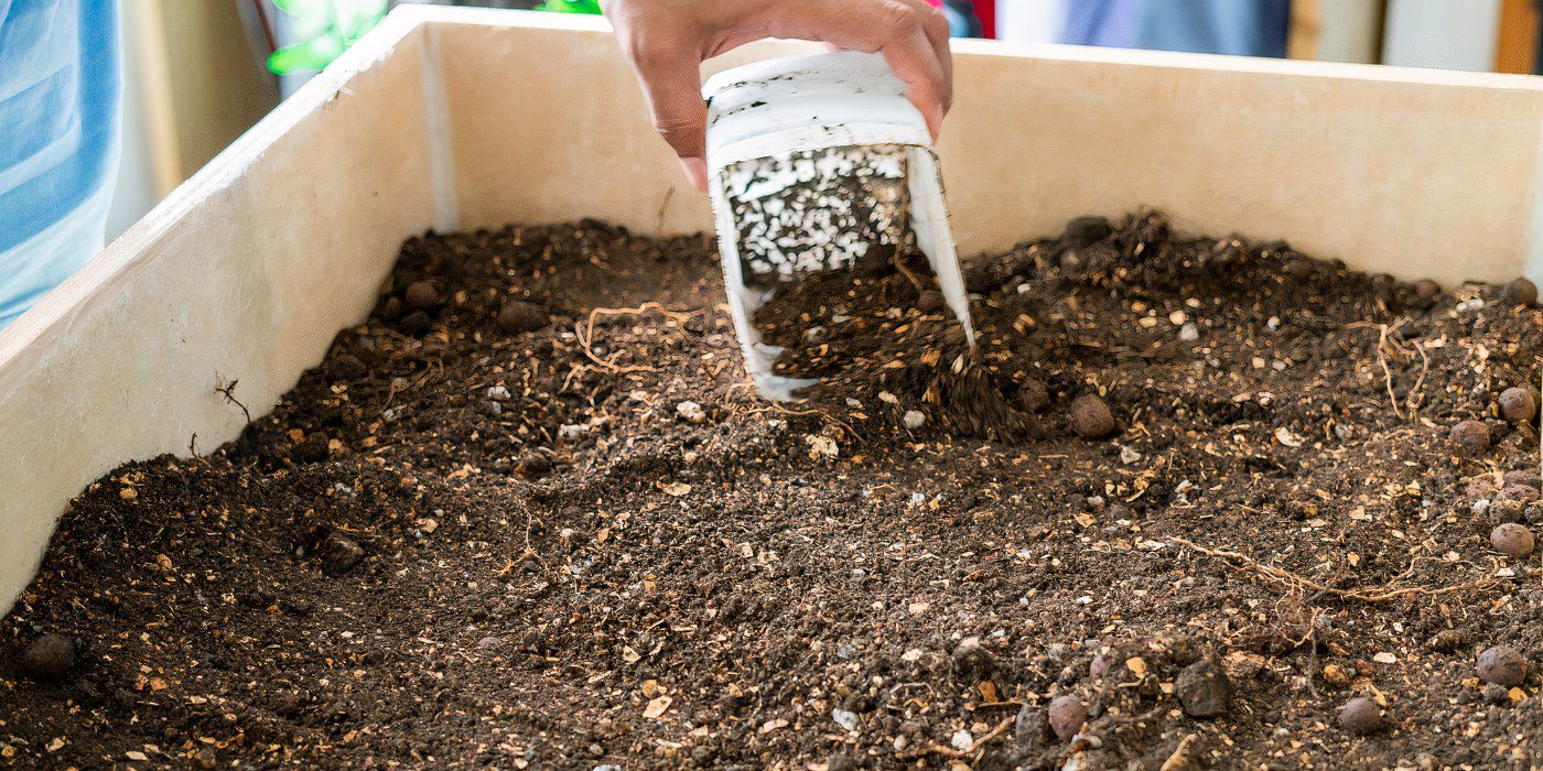 Clean Your Windowbox Planters!