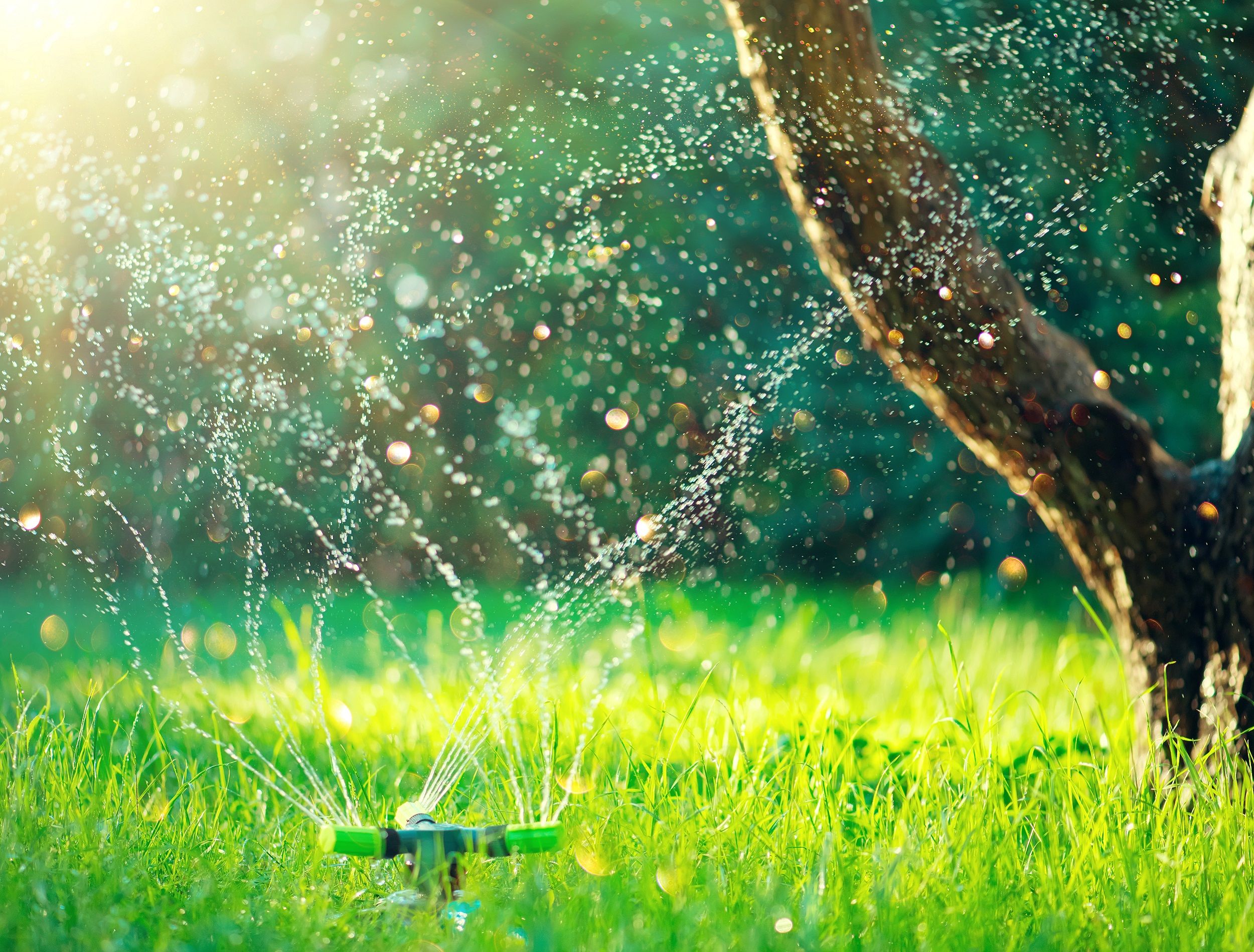 Backyard | BackyardBoss