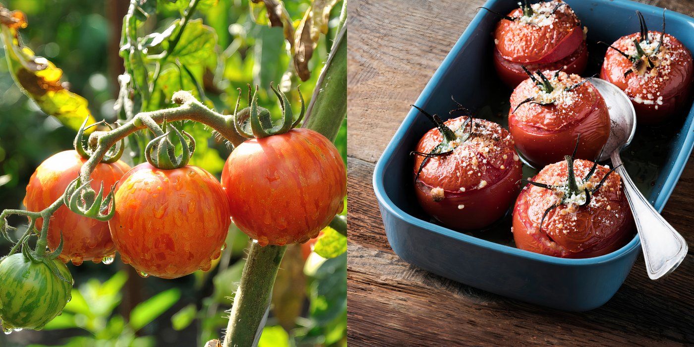 Garden Vegetables: The 6 Prettiest Vegetables To Add To Your Garden Design