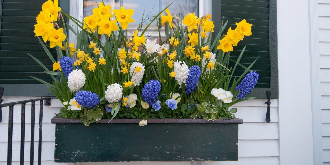 Clean Your Windowbox Planters!