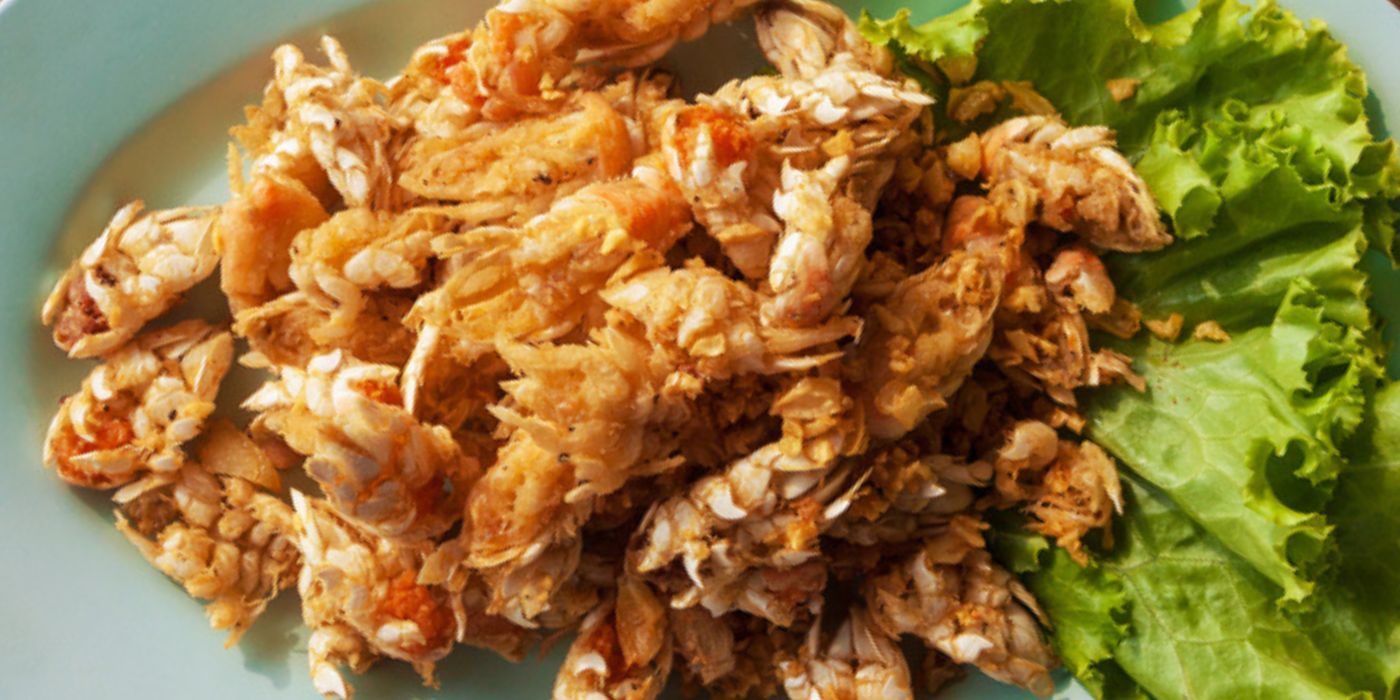 Make This Cicada Locust Recipe