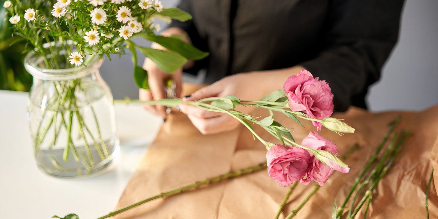 Plant Varying Carnation Flower Colors to Create a Vibrant Garden