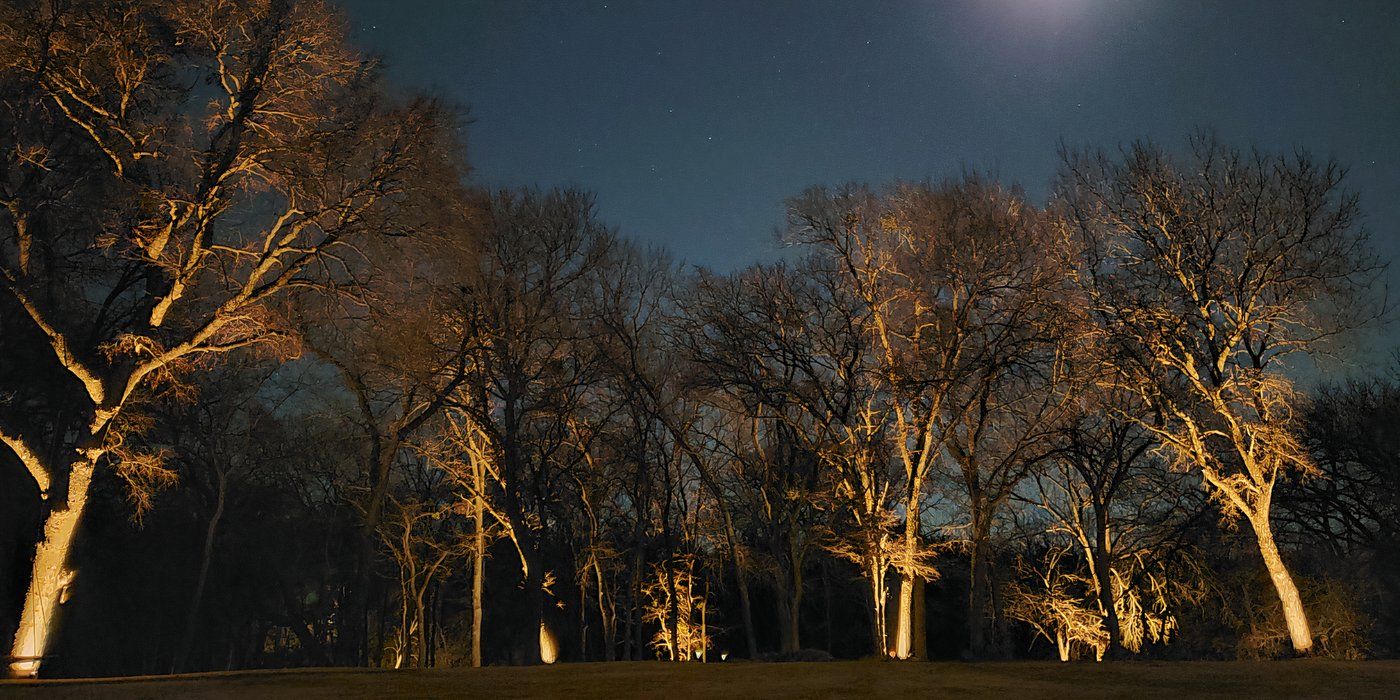 Outdoor Uplighting: 7 Ideas for Highlighting Your Landscaping Projects