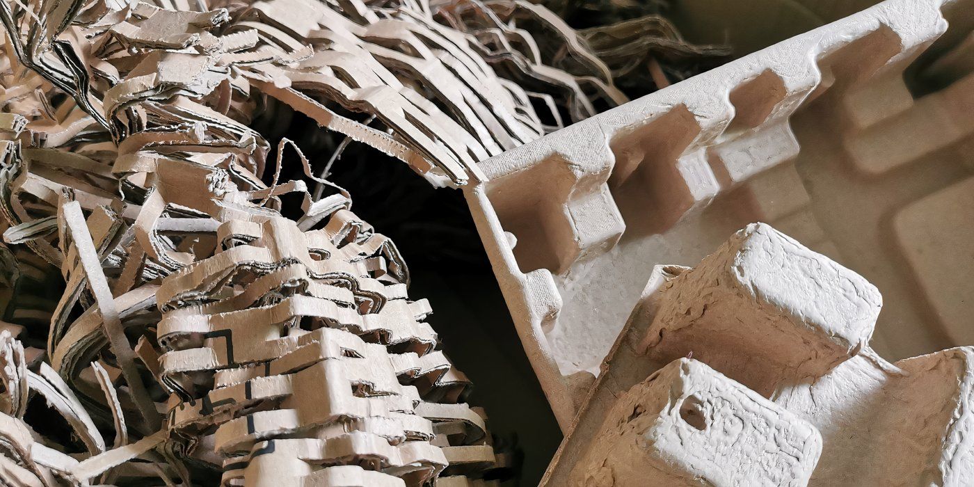 Cardboard in the Garden: Why It's An Effective Landscaping Mulch