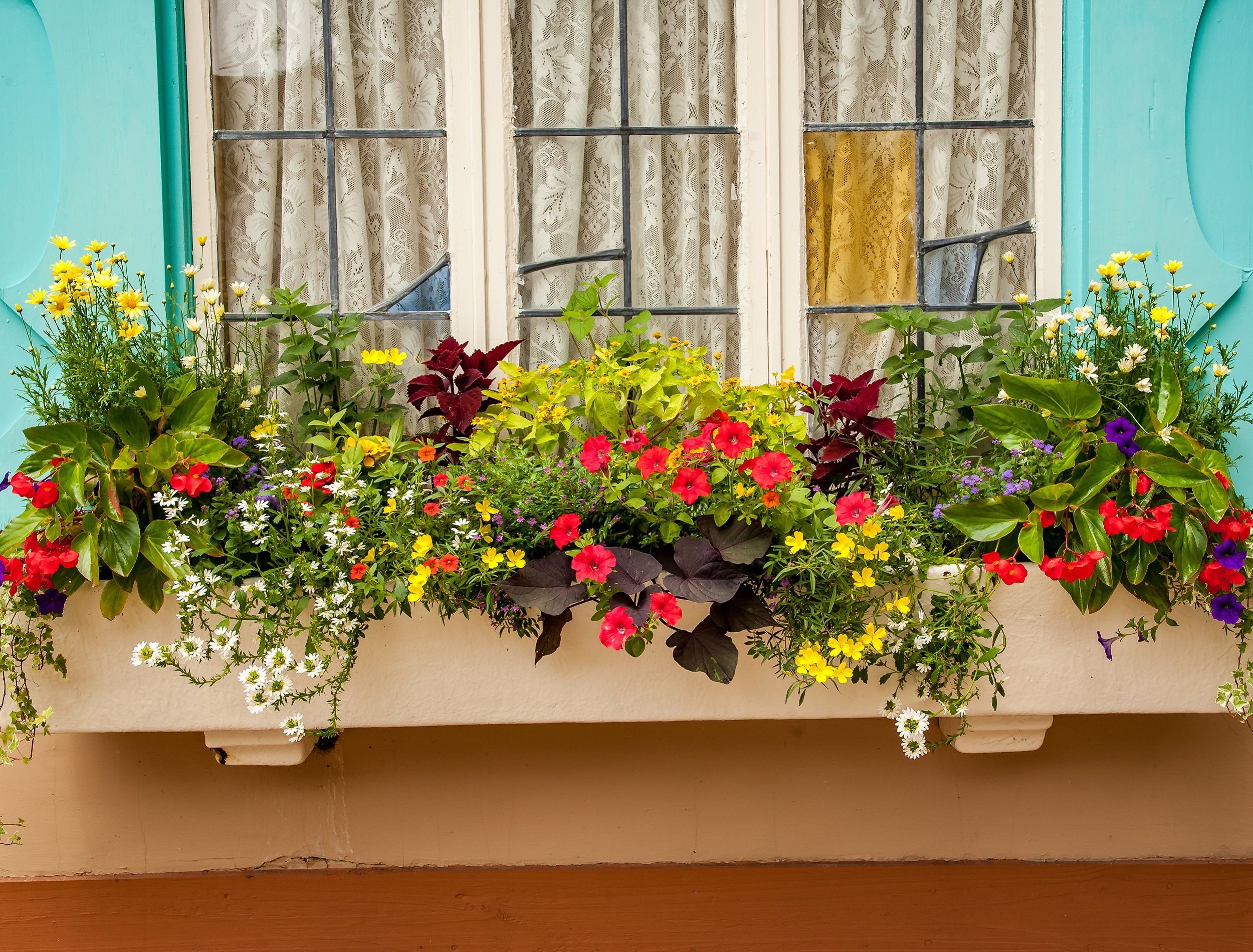 Clean Your Windowbox Planters!