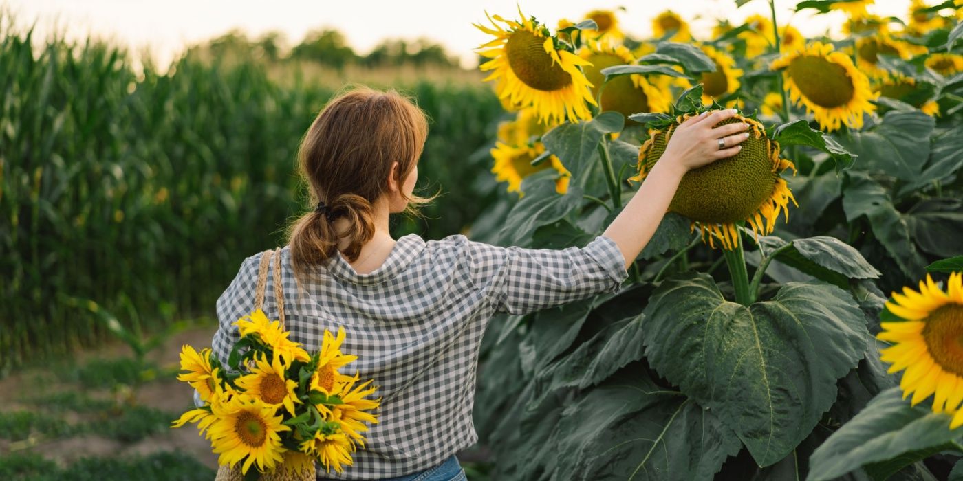 What's the Difference Between Cultivar, Nativar, and Native Plants?