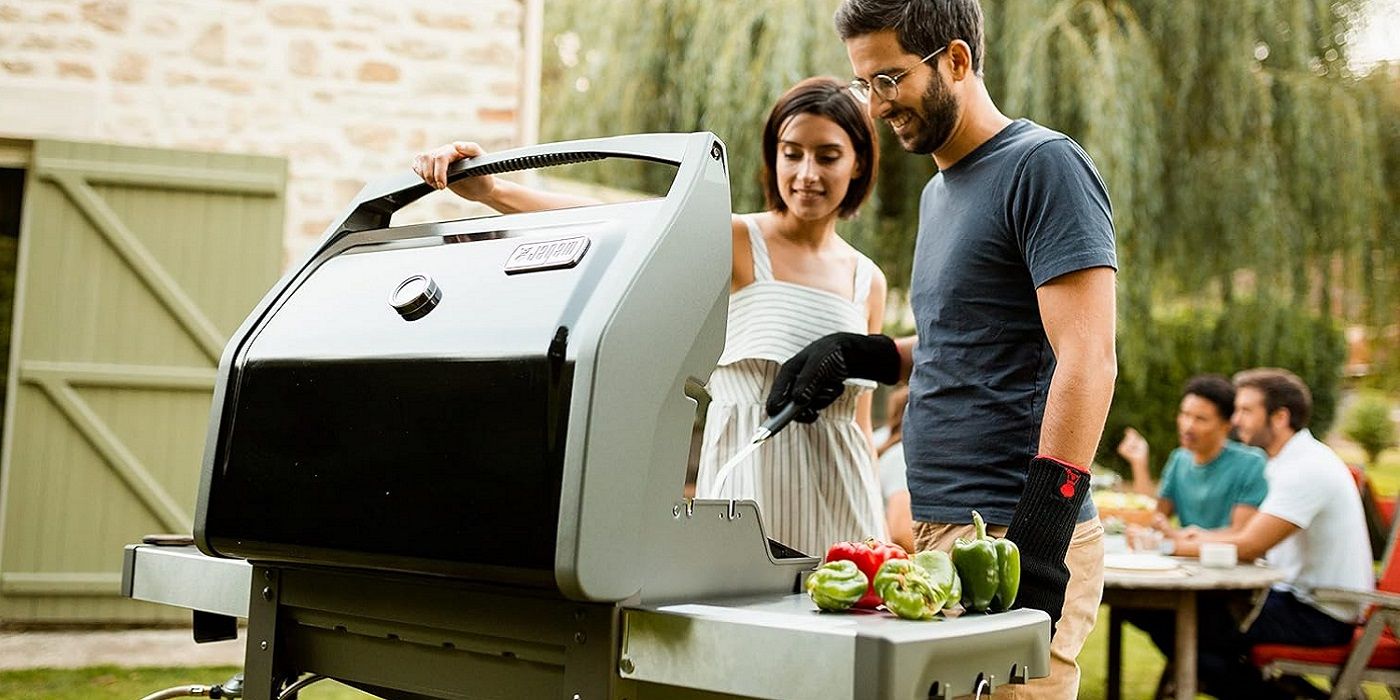 BBQ With One of the Best Weber Grills