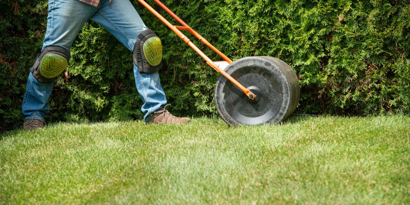 How Often and Why You Should Roll Your Lawn