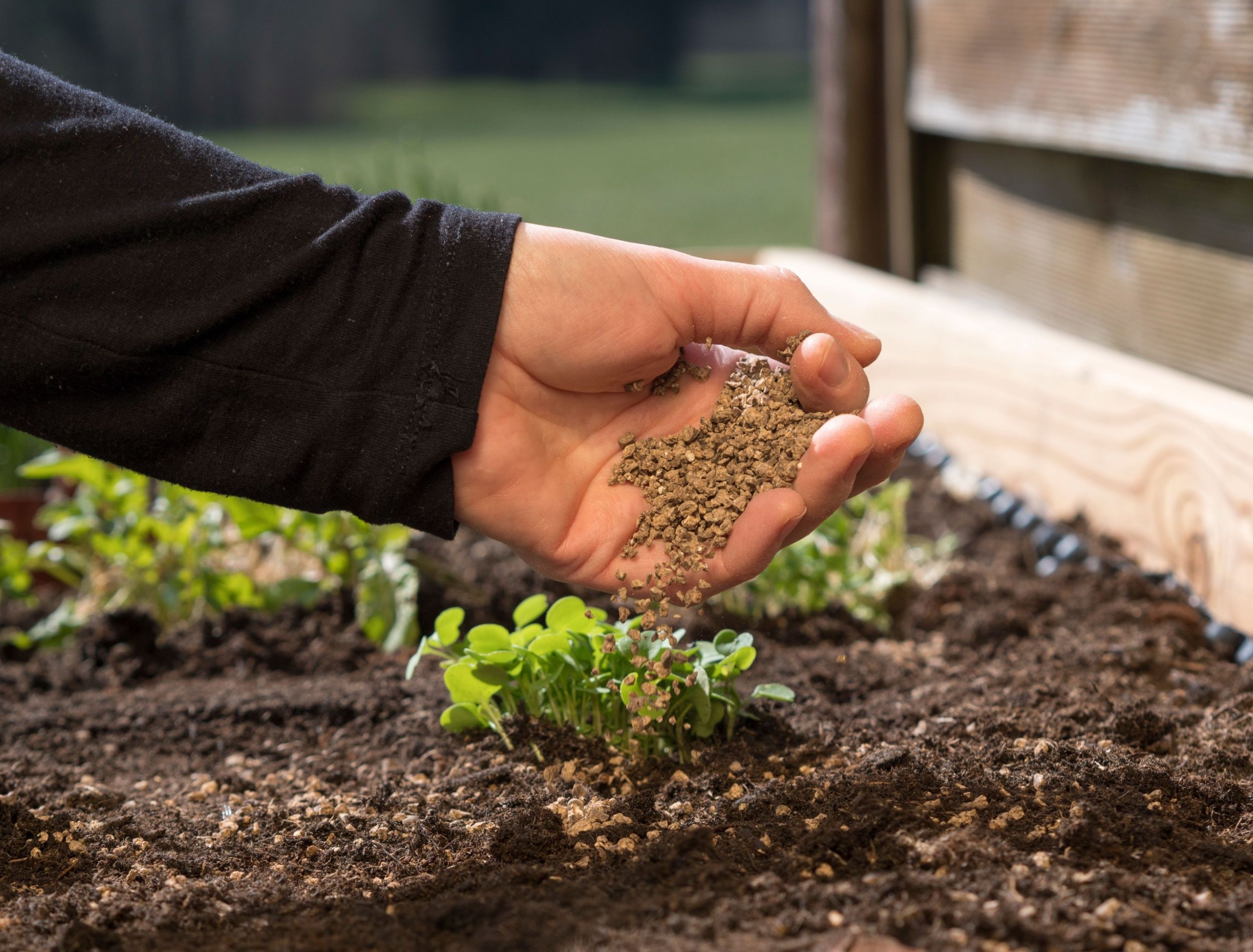 Top 6 Organic Fertilizers to Enrich Your Garden
