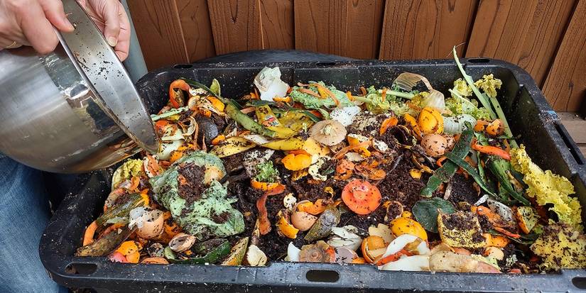 Compost Faster: 5 Surprisingly Simple Tips to Try